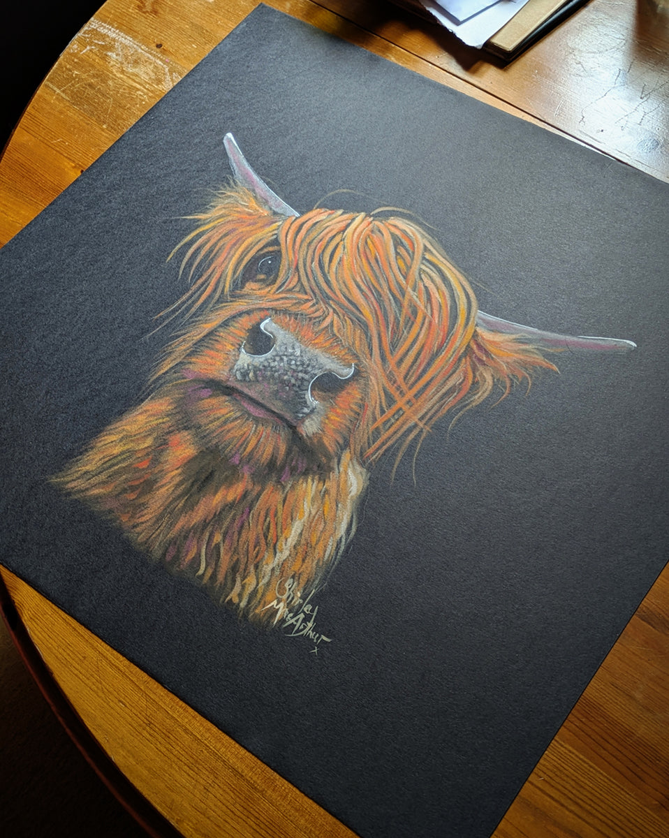 ORiGiNaL HiGHLaND CoW PaiNTiNG ‘ ANGuS ‘ BY SHiRLeY MacARTHuR