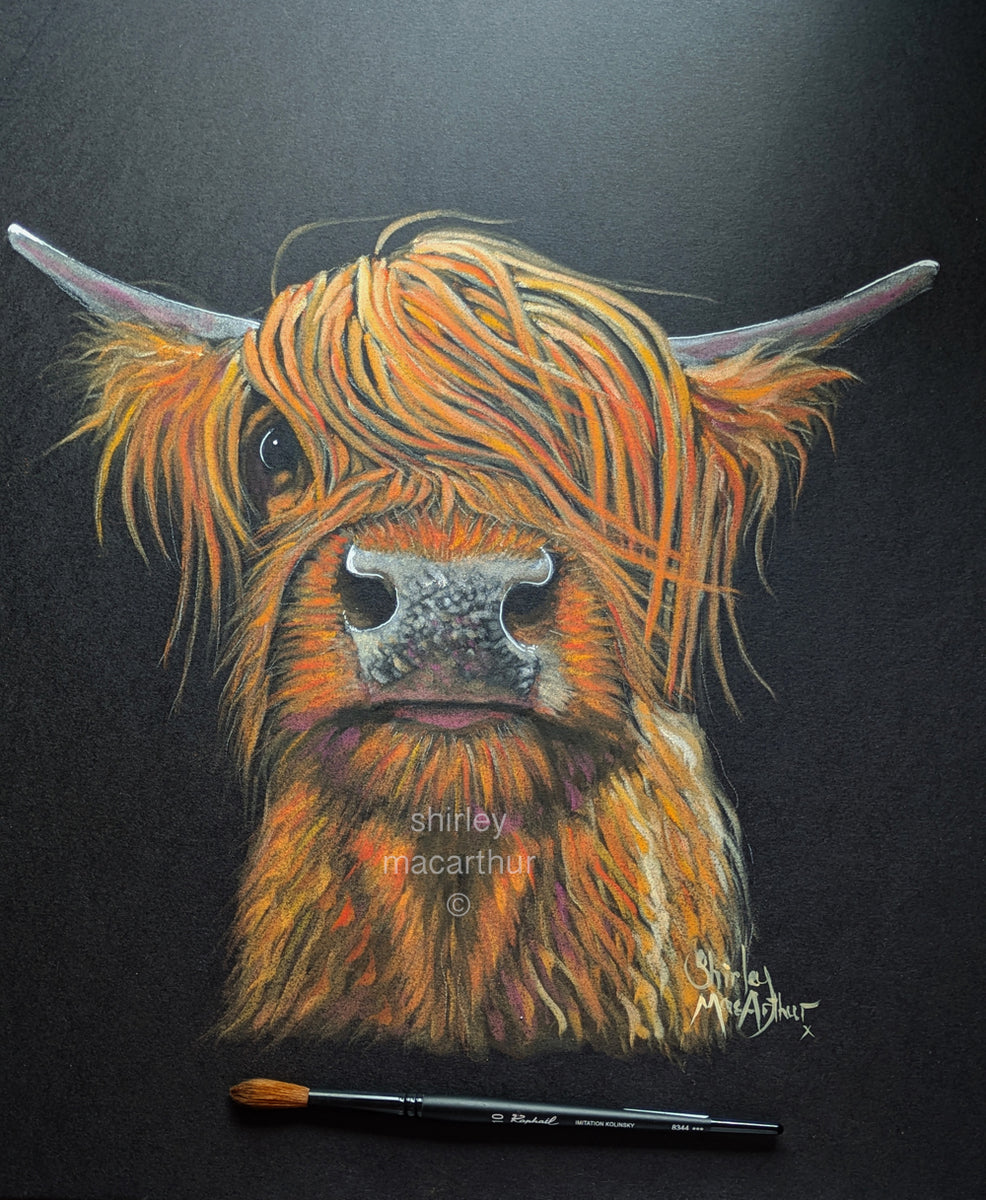 ORiGiNaL HiGHLaND CoW PaiNTiNG ‘ ANGuS ‘ BY SHiRLeY MacARTHuR