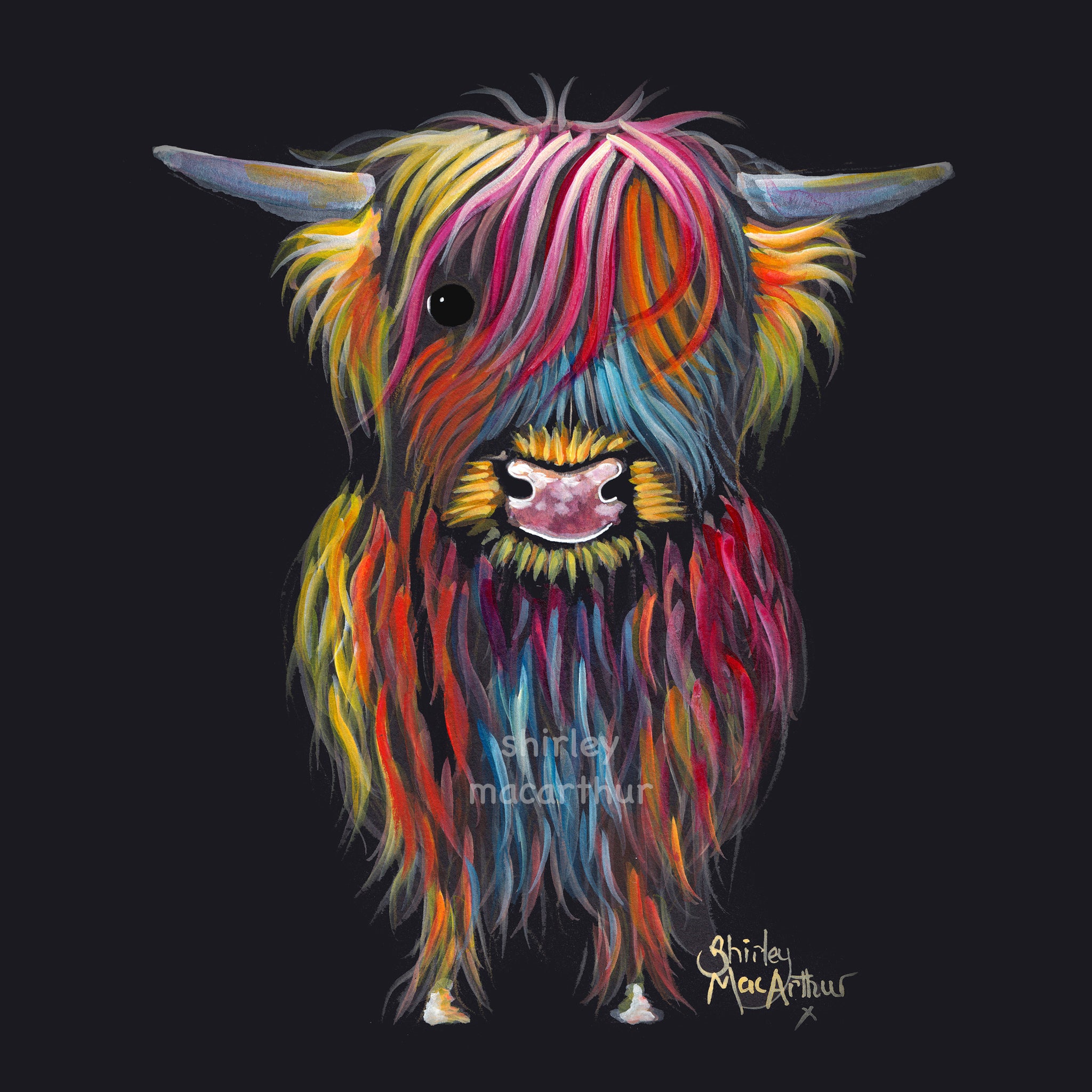 Highland Cow Prints by SHiRLeY MacARTHuR - BeauTiFuL QuaLiTY