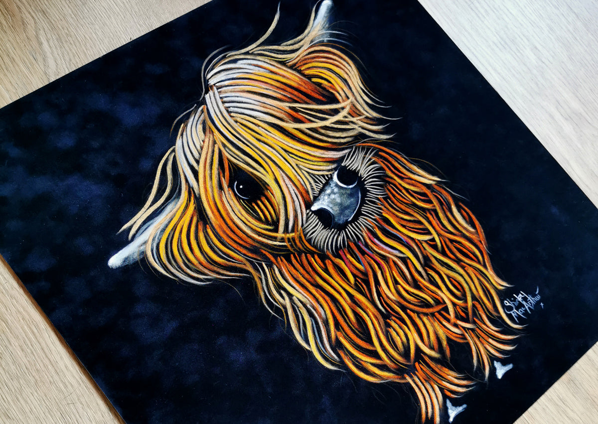 ORiGiNaL HiGHLaND CoW PaSTeL PaiNTiNG ' CoooWeee ' BY SHiRLeY MacARTHuR