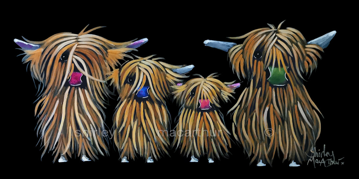 HiGHLaND CoW PRiNTS, WaLL ART BY SHiRLeY MacARTHuR
