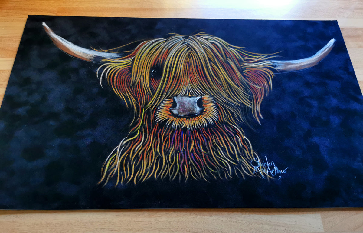 ORiGiNaL HiGHLaND CoW PaSTeL PaiNTiNG ' HaRLeY ' BY SHiRLeY MacARTHuR