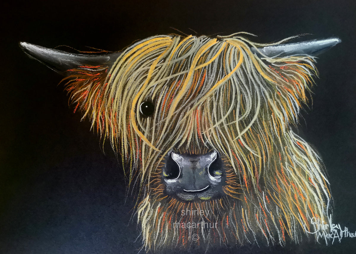 ORiGiNaL HiGHLaND CoW PaSTeL PaiNTiNG ' WiLBuR ‘ BY SHiRLeY MacARTHuR