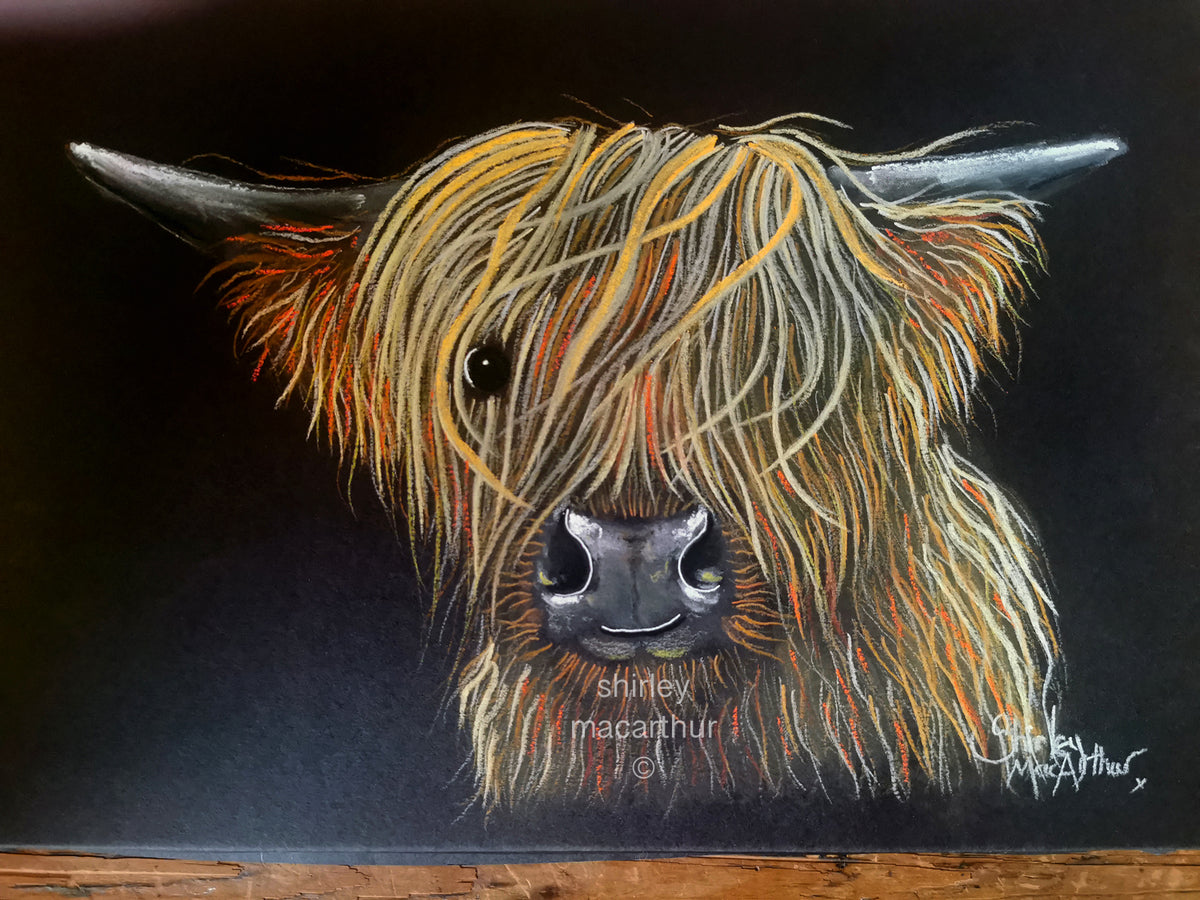 ORiGiNaL HiGHLaND CoW PaSTeL PaiNTiNG ' WiLBuR ‘ BY SHiRLeY MacARTHuR