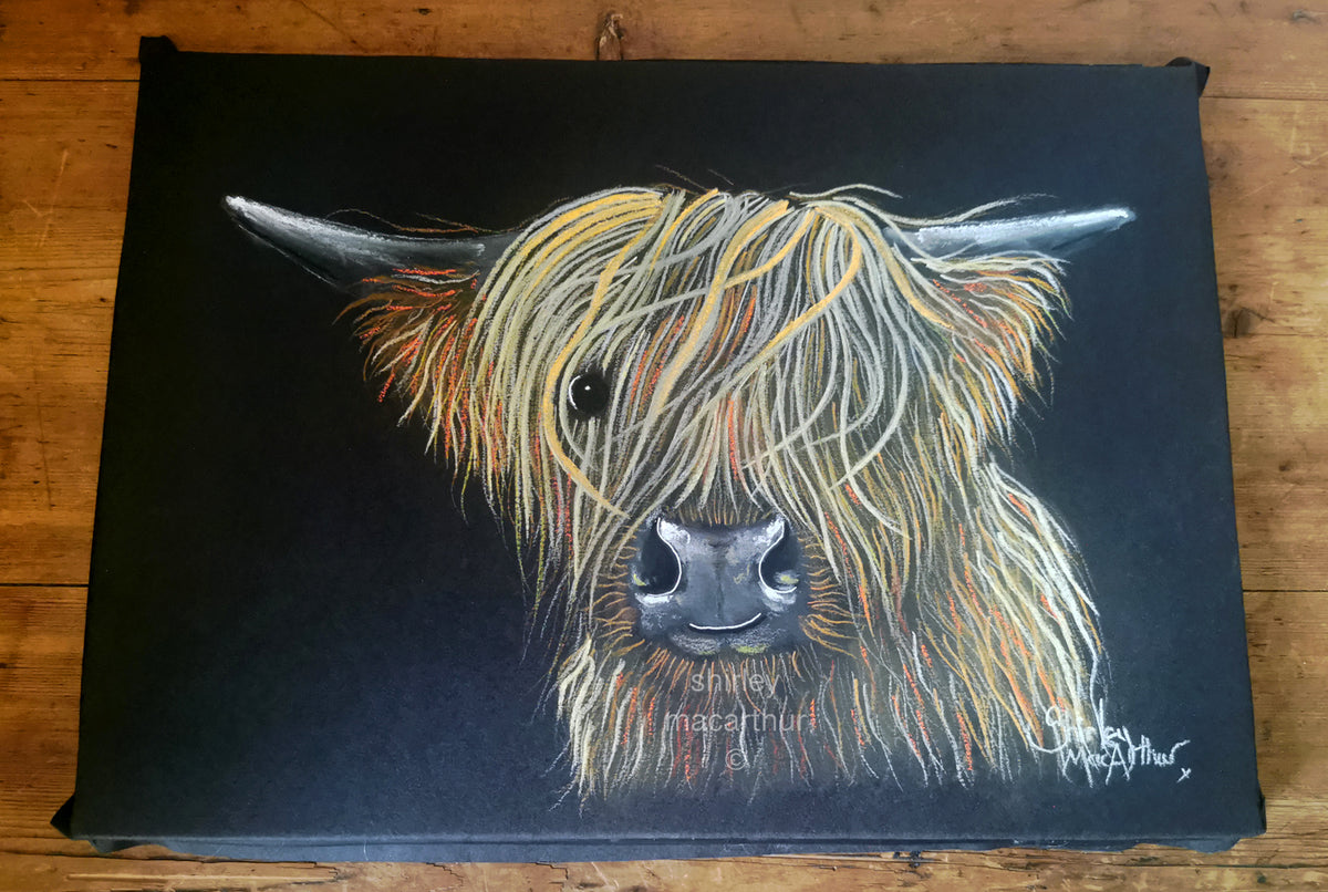 ORiGiNaL HiGHLaND CoW PaSTeL PaiNTiNG ' WiLBuR ‘ BY SHiRLeY MacARTHuR