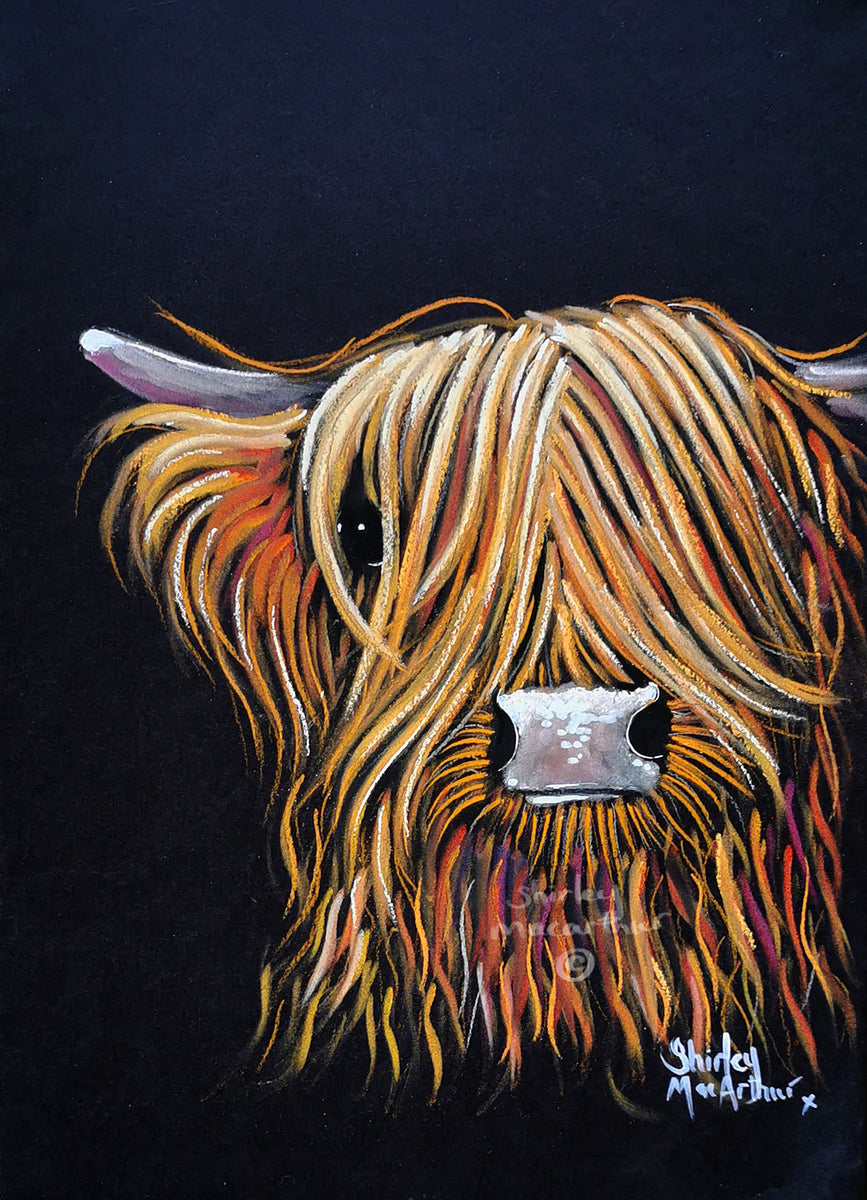 ORiGiNaL HiGHLaND CoW PaSTeL PaiNTiNG ' Bo ' BY SHiRLeY MacARTHuR