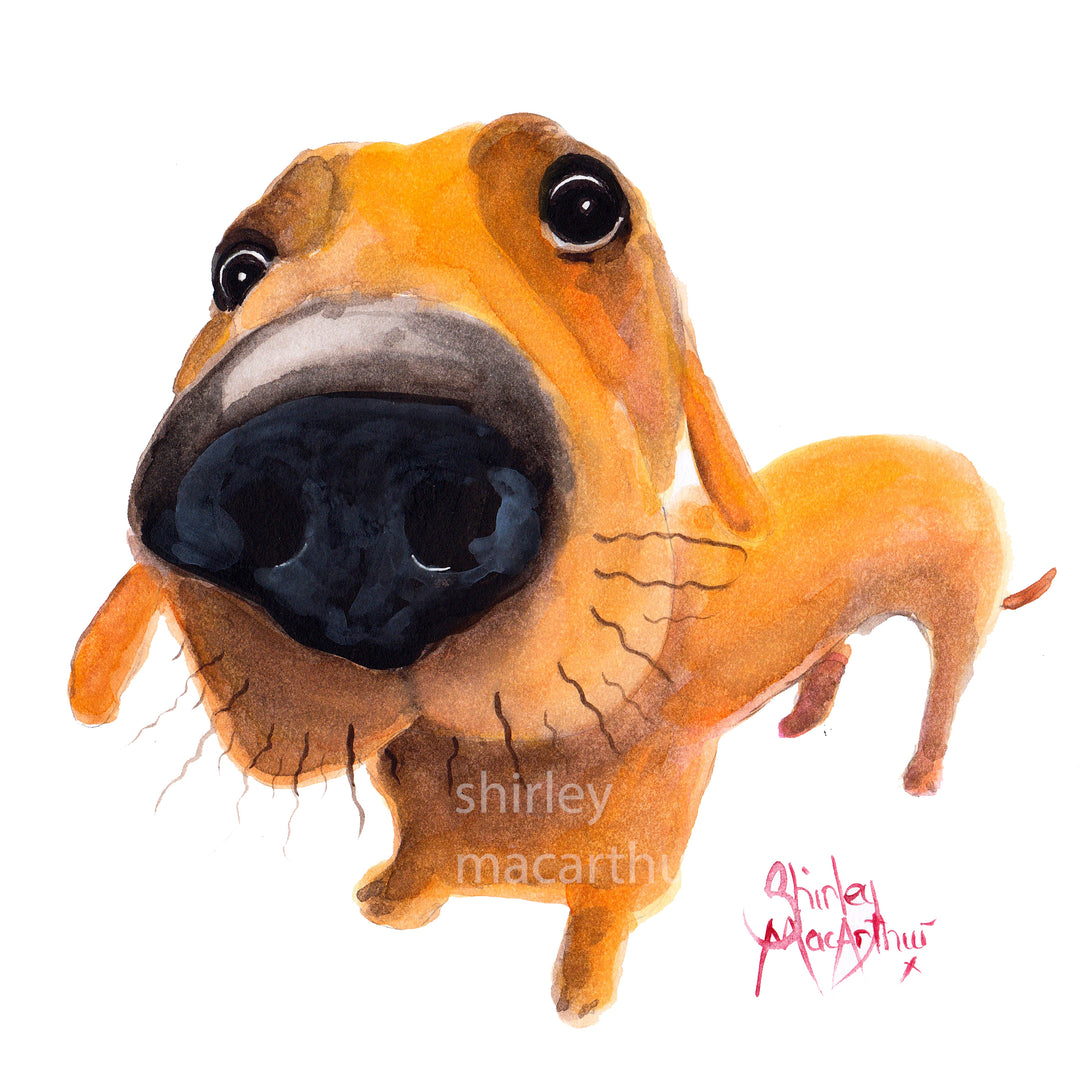 ‘DiDDLY DeReK’ NoSeY DoG ReTRieVeR PaiNTiNGS & PRiNTS BY SHiRLeY MacARTHuR