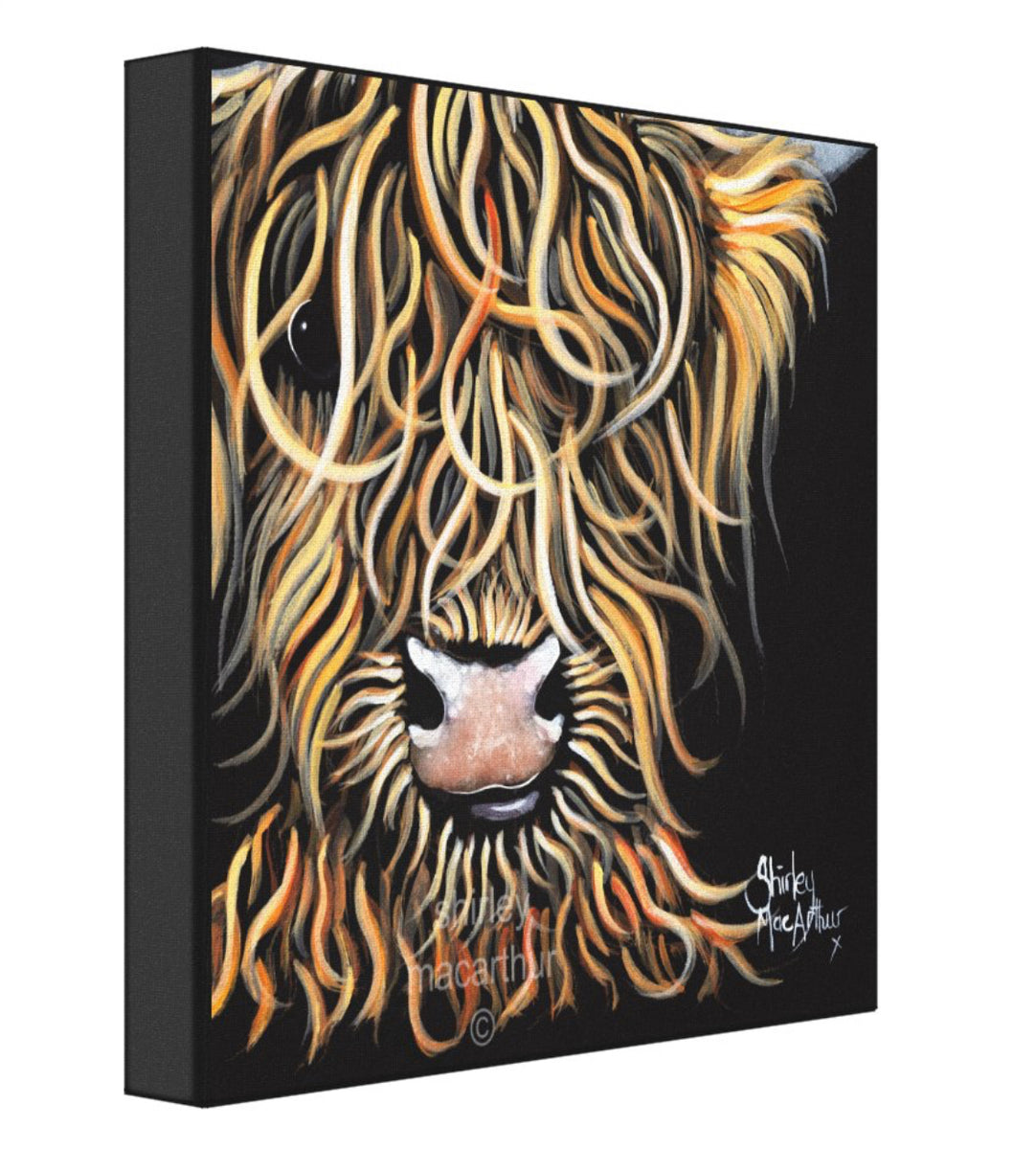 DaPHNe- FRoM £6.99 HiGHLaND CoW PRiNTS, WaLL ART BY SHiRLeY MacARTHuR