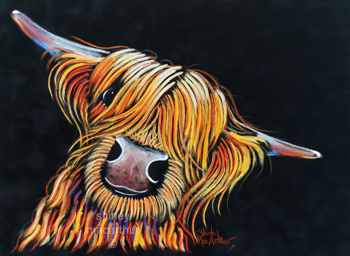 ORiGiNaL HiGHLaND CoW PaSTeL PaiNTiNG 'A Wee DRaM ' BY SHiRLeY MacARTHuR