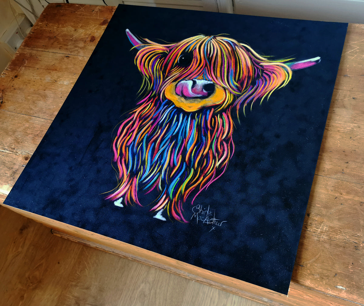 ORiGiNaL HiGHLaND CoW PaSTeL PaiNTiNG ' BeN ' BY SHiRLeY MacARTHuR