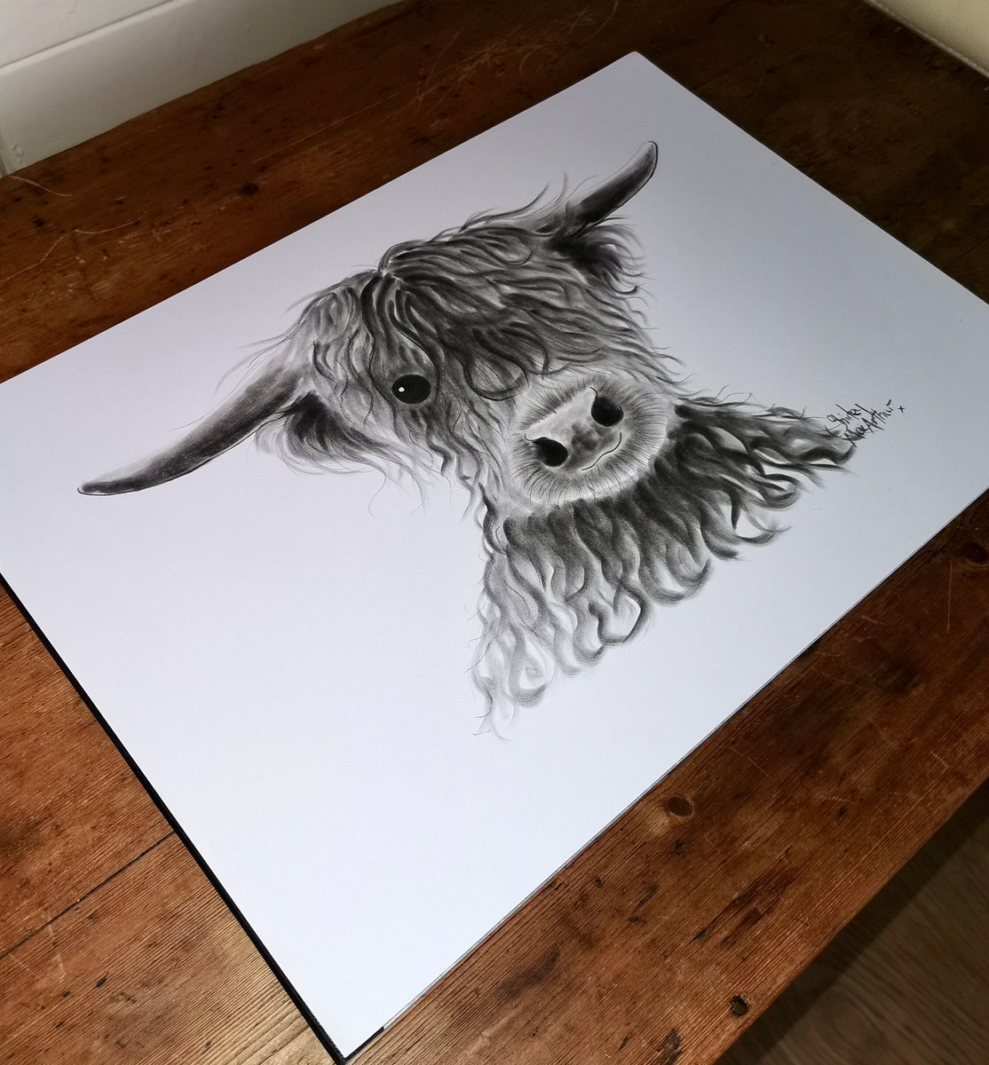 CHaRCoaL ORiGiNaLS! HiGHLaND CoW PaiNTiNG - No 22 – SHiRLeY MacARTHuR
