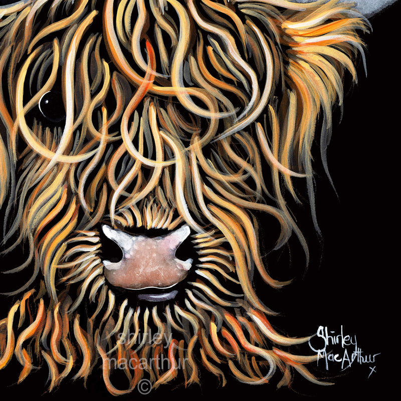 DaPHNe- FRoM £6.99 HiGHLaND CoW PRiNTS, WaLL ART BY SHiRLeY MacARTHuR