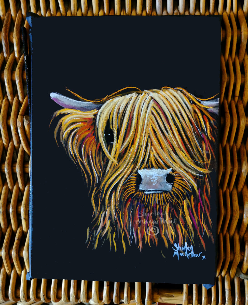 ORiGiNaL HiGHLaND CoW PaSTeL PaiNTiNG ' Bo ' BY SHiRLeY MacARTHuR