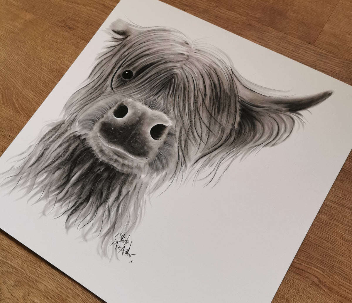 CHaRCoaL and PaSTeL ORiGiNaLS! HiGHLaND CoW PaiNTiNGS - No 23 – SHiRLeY ...