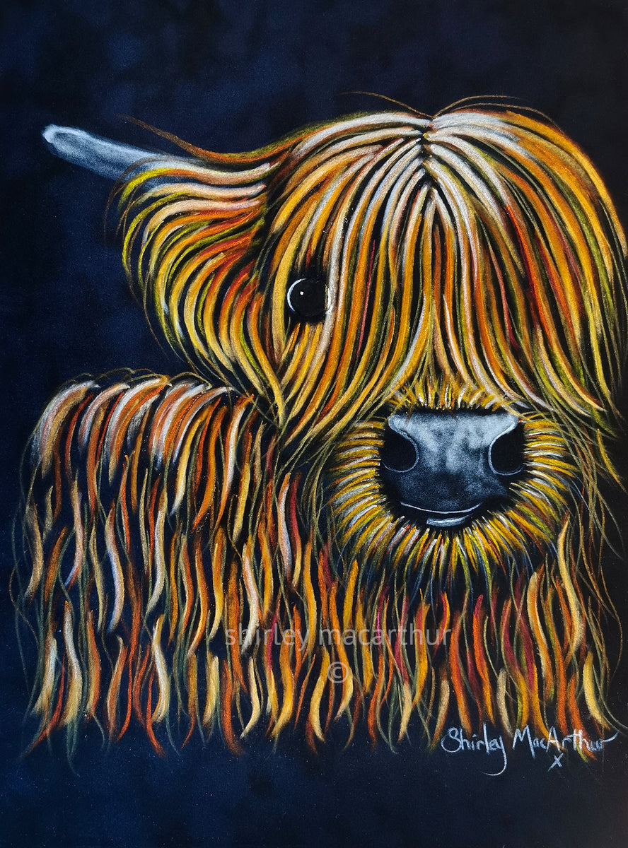 ORiGiNaL HiGHLaND CoW PaSTeL PaiNTiNG ' JoCK ' BY SHiRLeY MacARTHuR