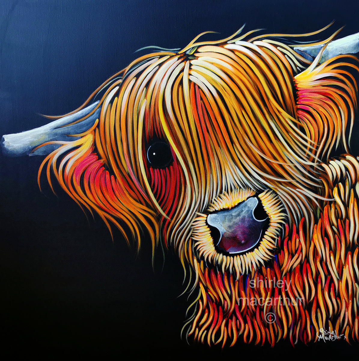 ORiGiNaL HiGHLaND CoW PaiNTiNG ' RaY oF SuNSHiNe ' – SHiRLeY MacARTHuR