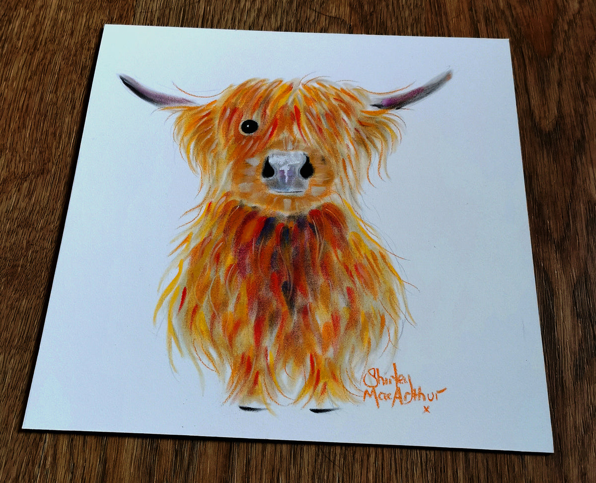ORiGiNaL HiGHLaND CoW PaSTeL PaiNTiNG ' TaTTie ' BY SHiRLeY MacARTHuR